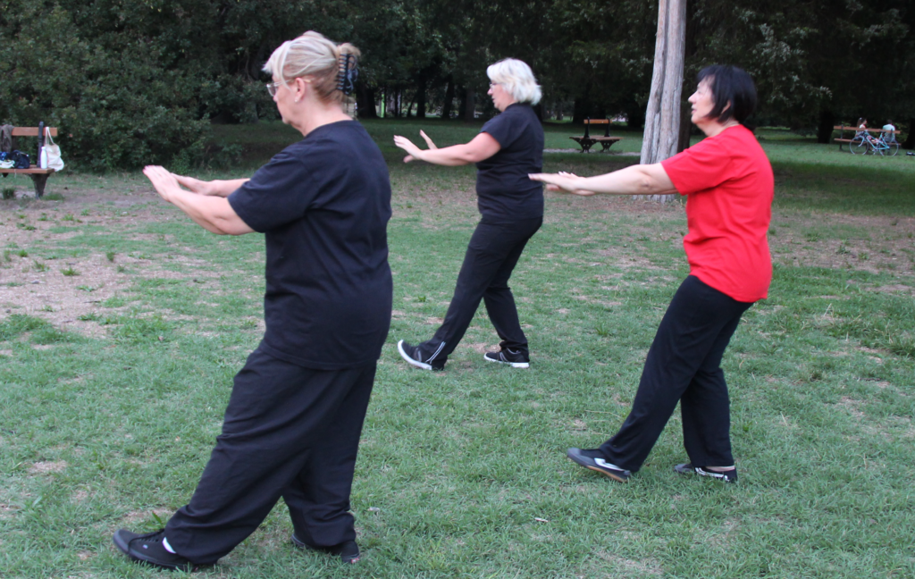 Style Li Villeurbannais – Taï chi chuan – Qi gong